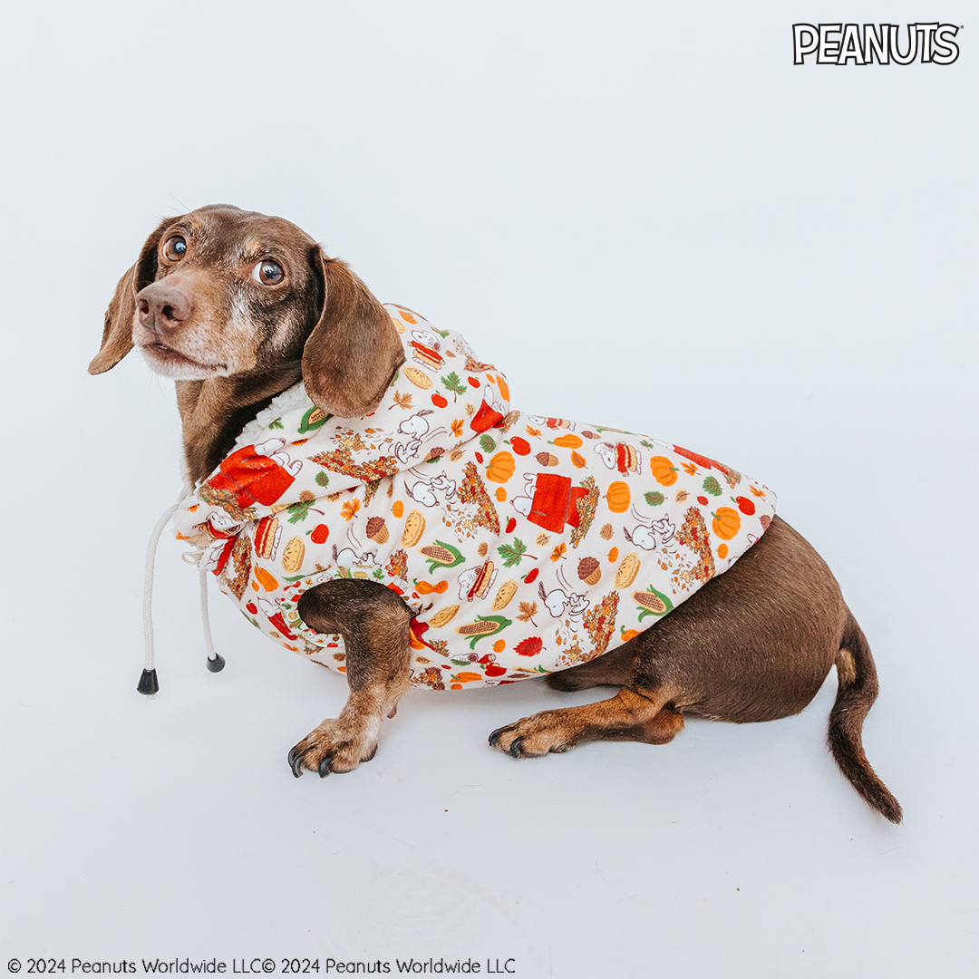Dog Reversible Sherpa Jacket - Peanuts™ Snoopy Harvest – Frenchie Tale